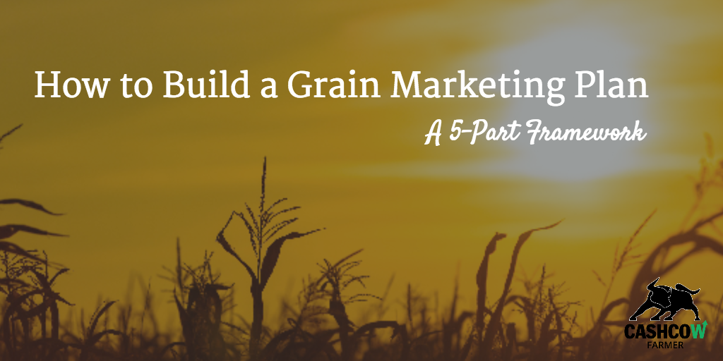 5 Steps to Building A Grain Marketing Plan